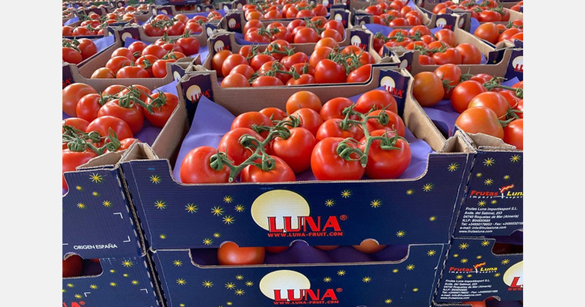 "De hecho, creo que muchos cultivos no van a recuperarse por ahora"