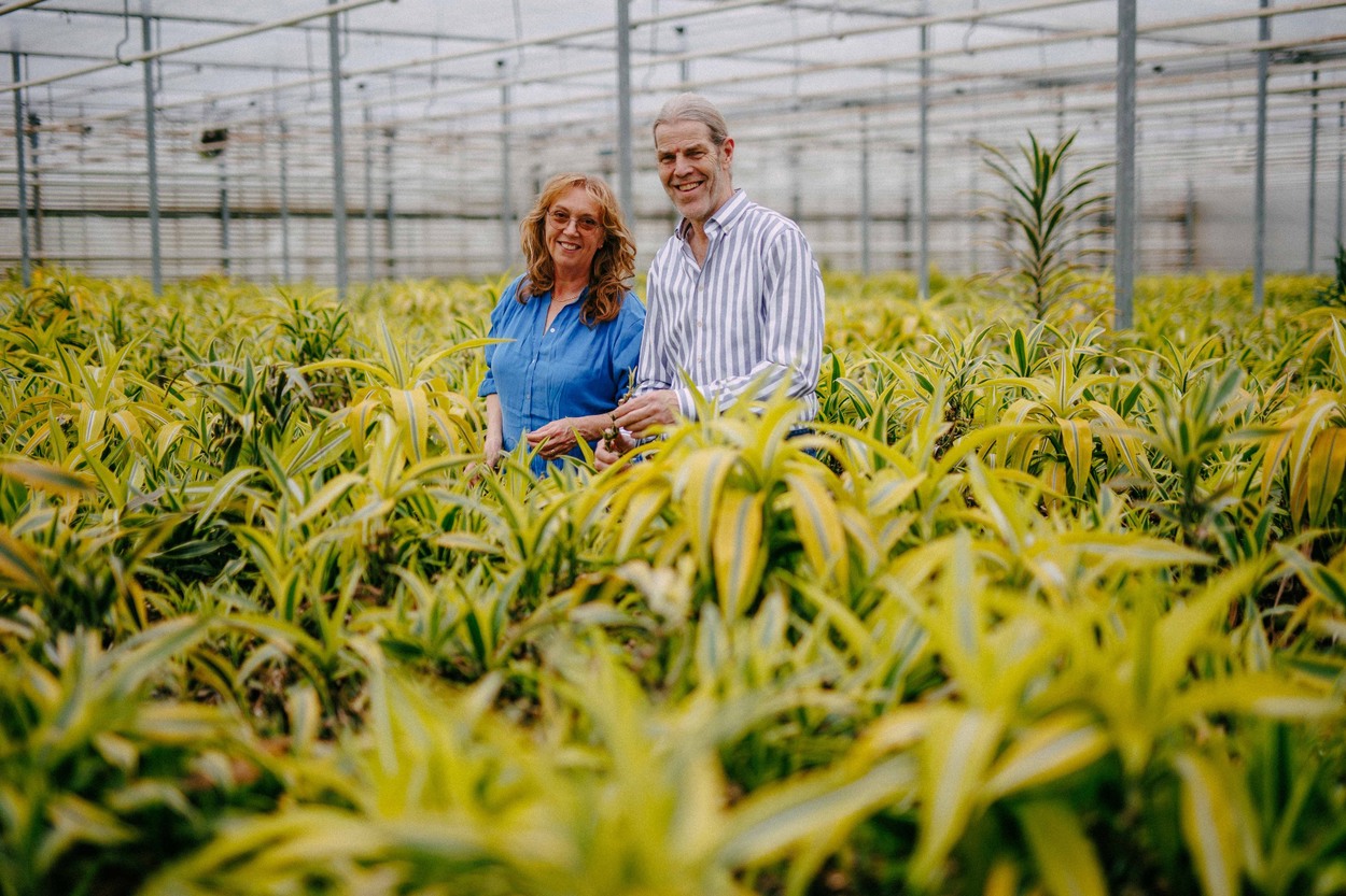 "Vendemos nuestros esquejes en todo el mundo y el contacto con ...