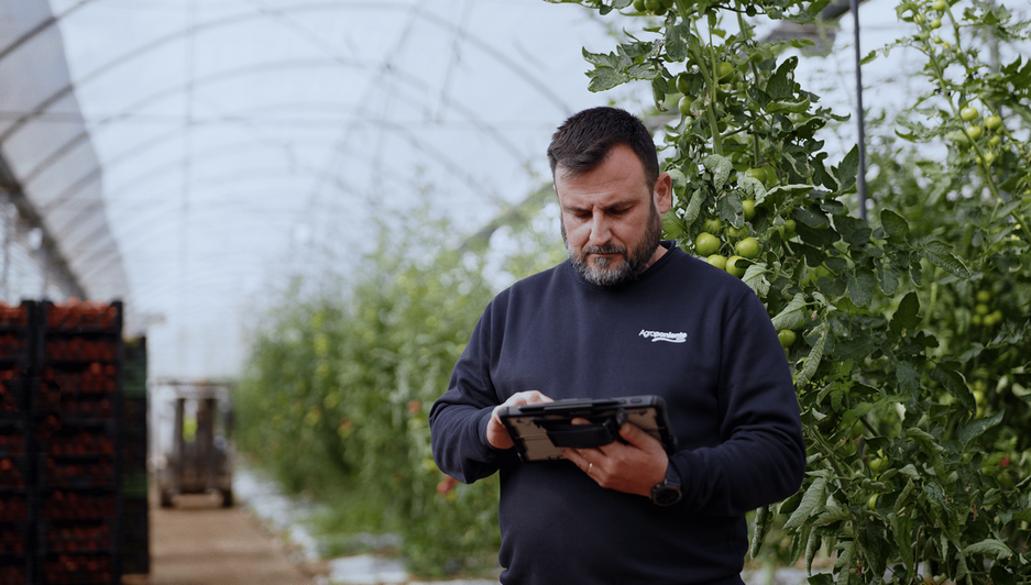 Agroponiente bate récord histórico: 376 millones de euros