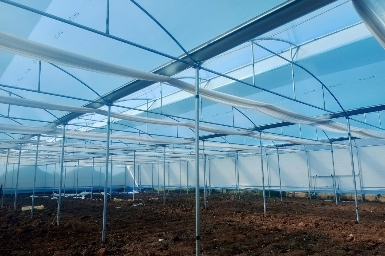 "Las cubiertas de invernadero importadas siguen teniendo una cuota ...