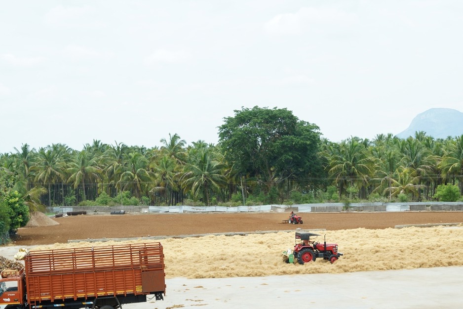 "La demanda de sustratos de coco seguirá siendo fuerte a medida que se ...