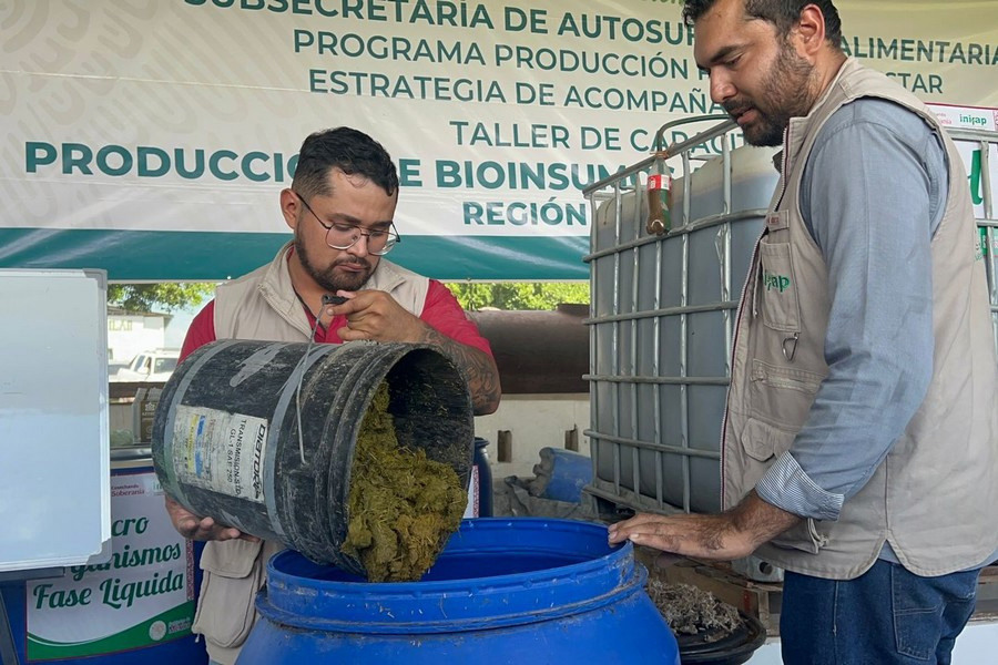 El poder de los bioles en la agricultura sostenible mexicana