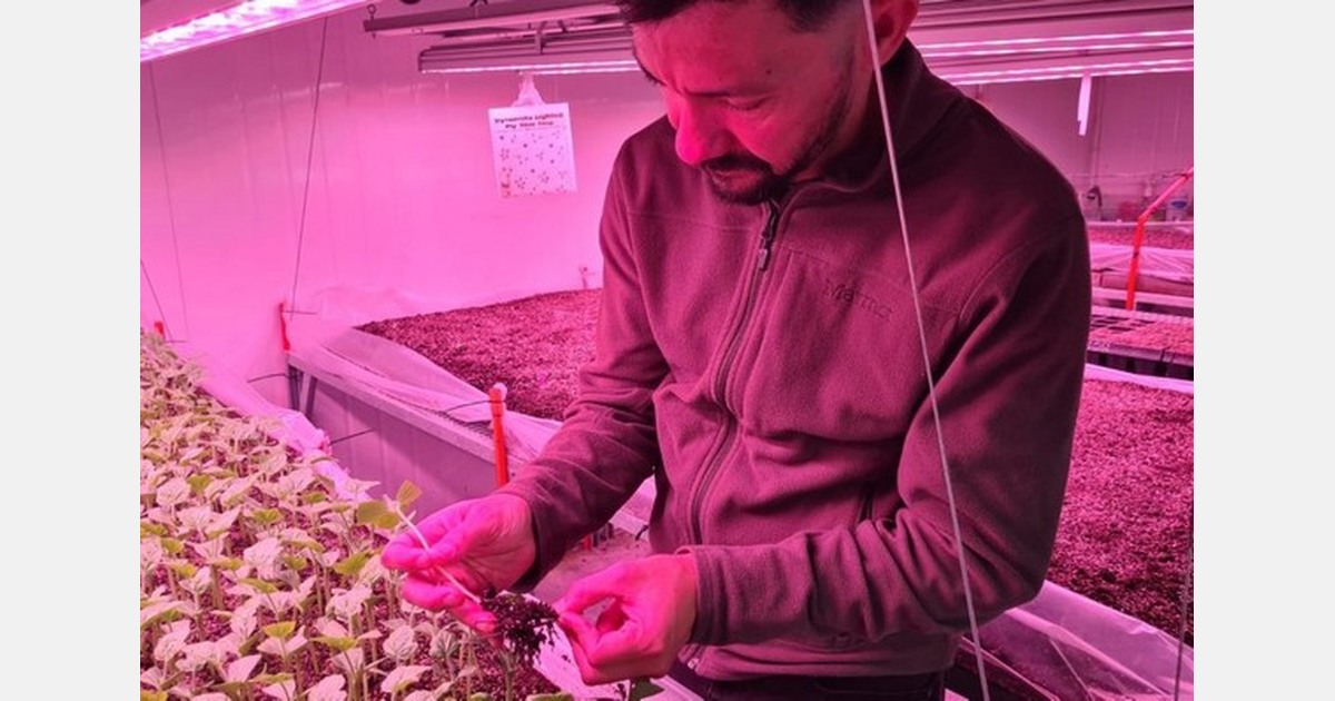 ¿Puede la energía nuclear mejorar especies hortícolas desde Chile?