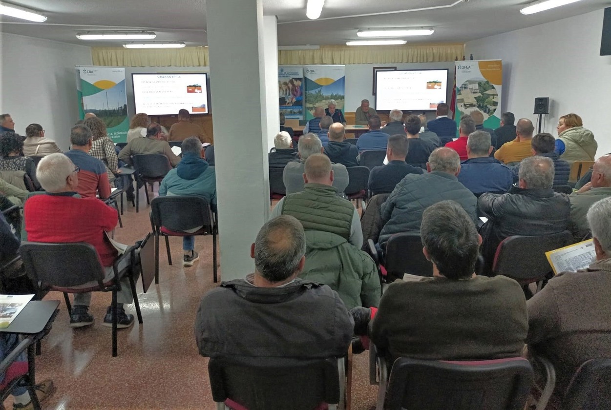 Murcia refuerza la capacitación de más de 6.000 profesionales del ...