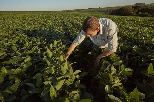 BASF Soluciones para la Agricultura adquiere la empresa AgBiTech de ...