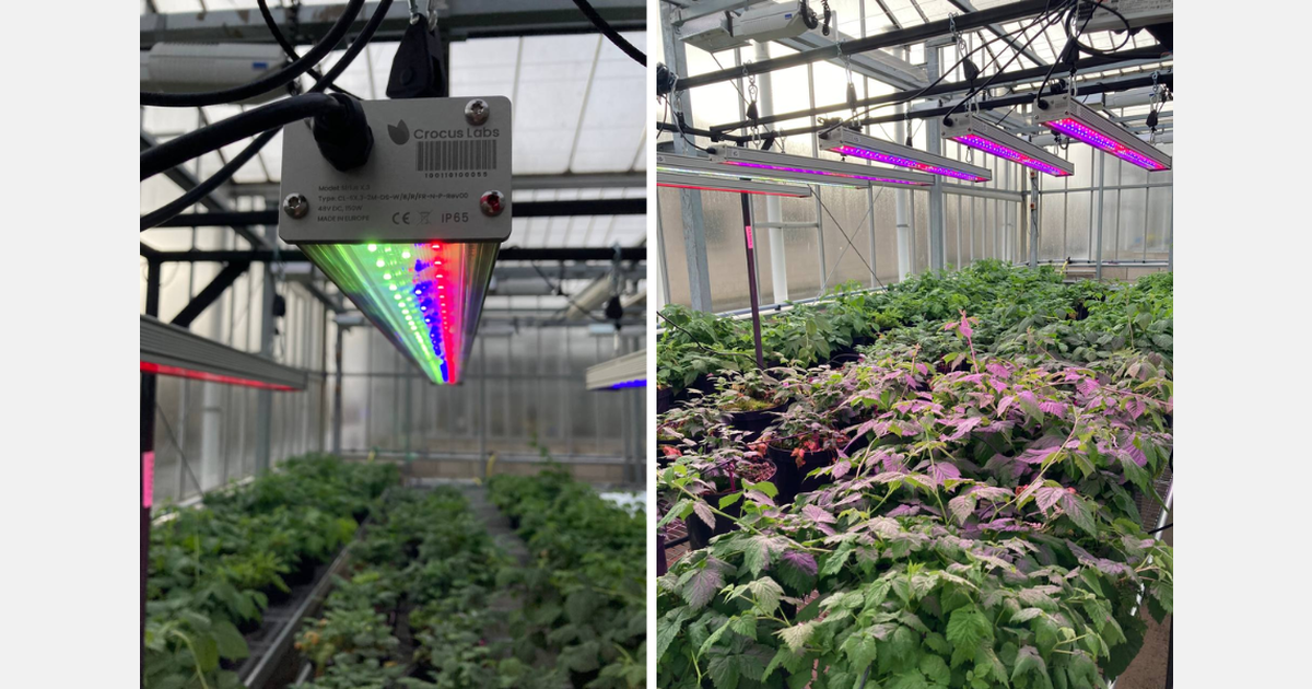 "Nuestro sistema está diseñado para integrarse prácticamente con ...