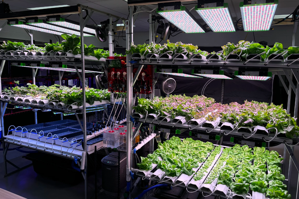 "Creo que el espacio es una incubadora para la industria CEA"